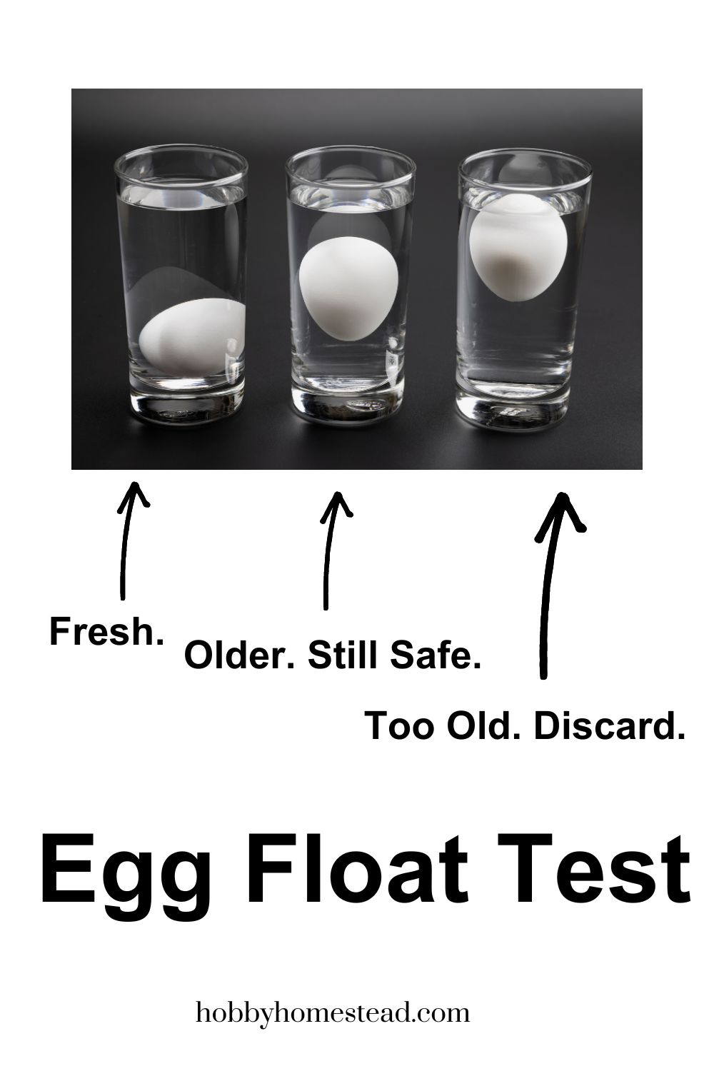 My Grandmother’s Float Test for Good Eggs and Bad Eggs - Hobby Homestead
