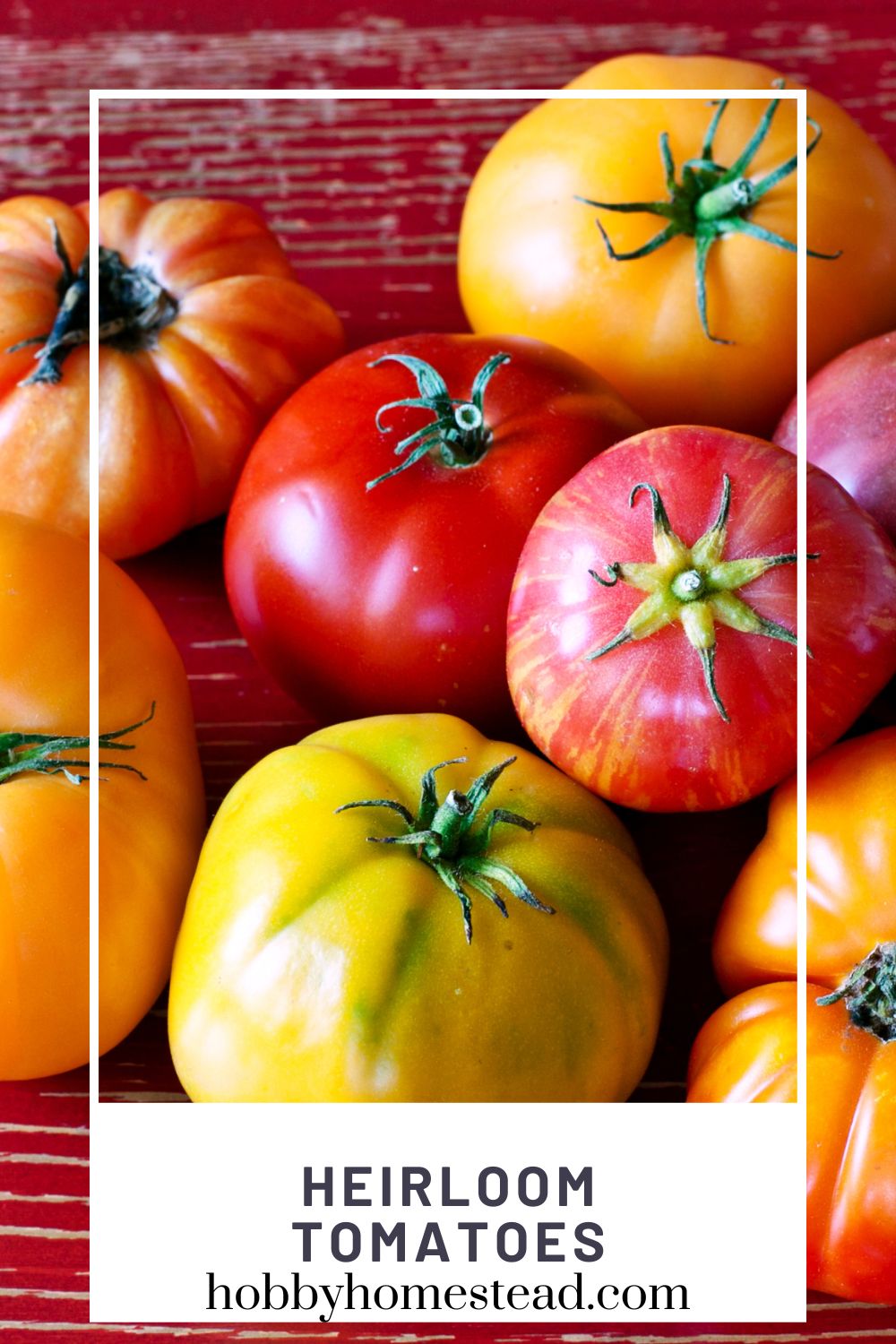 The Best Trick to Store Tomatoes, According to Farmers - Hobby Homestead