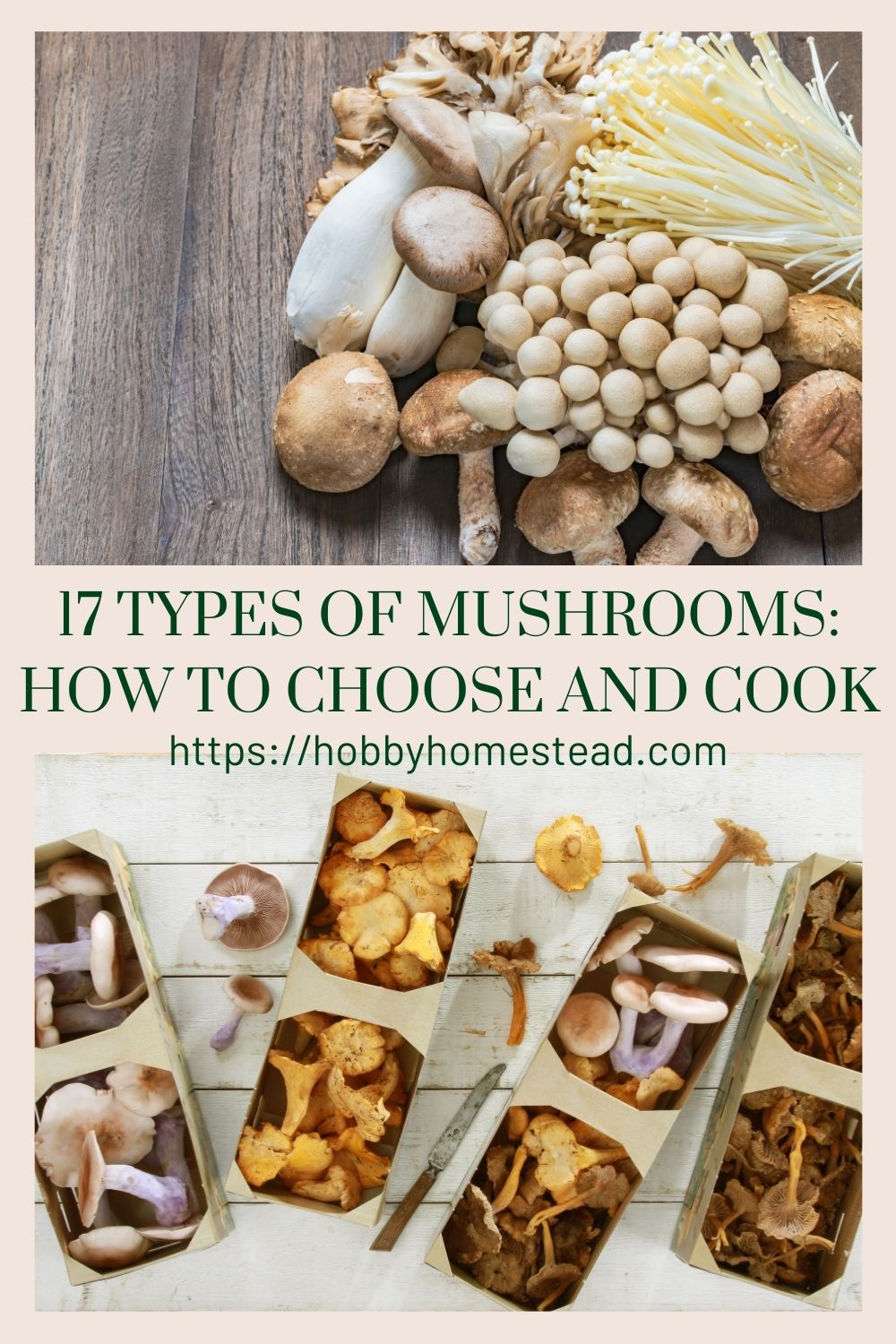 17 Types of Mushrooms: How to Choose and Cook - Hobby Homestead