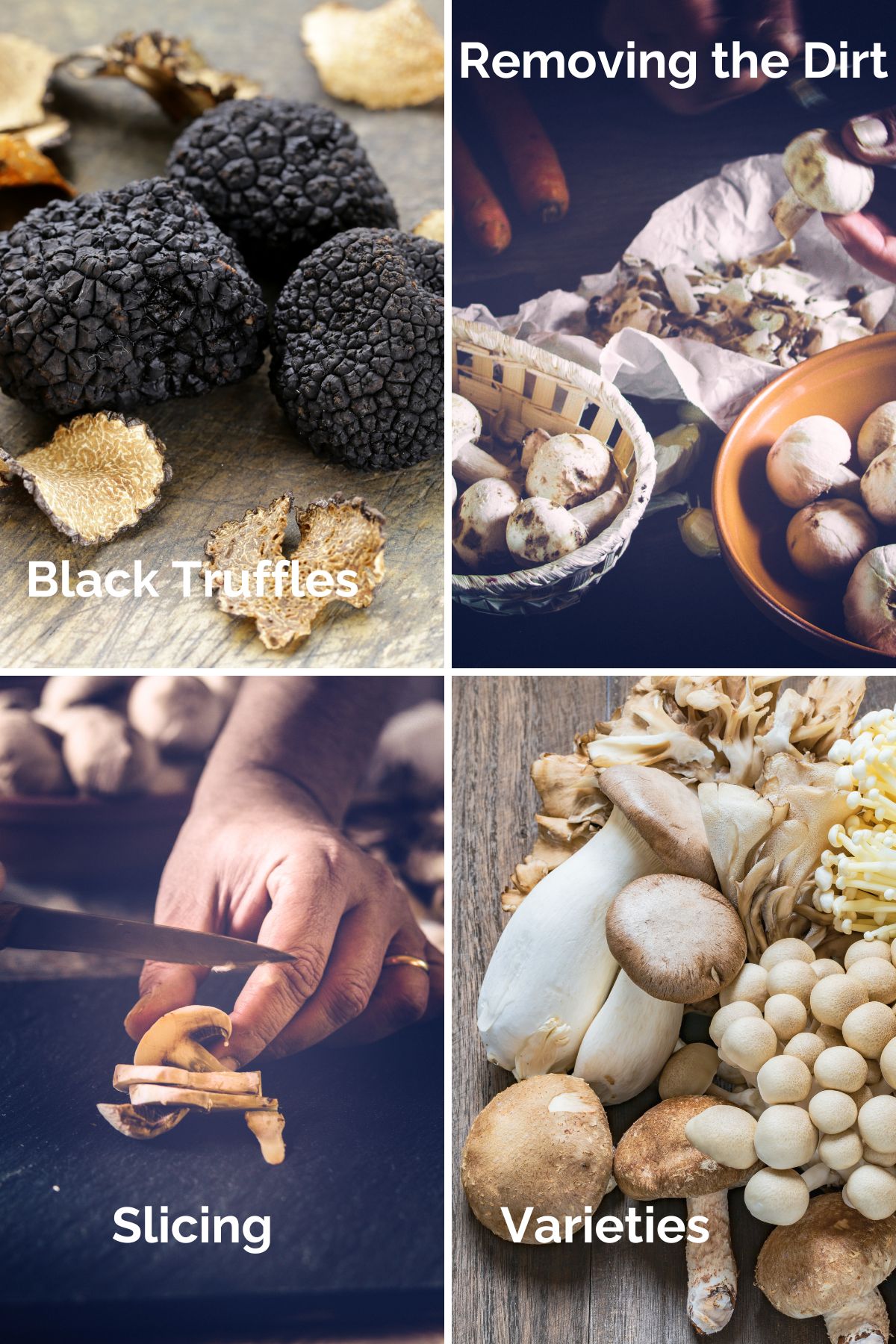 17 Types of Mushrooms: How to Choose and Cook - Hobby Homestead