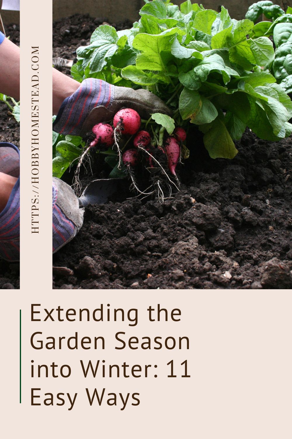 Extending the Garden Season into Winter: 11 Easy Ways - Hobby Homestead