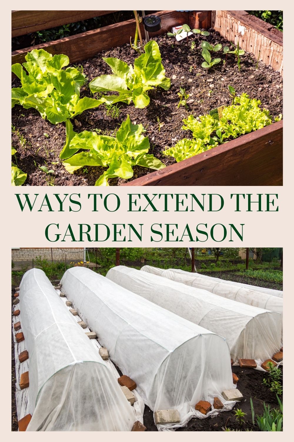 Extending the Garden Season into Winter: 11 Easy Ways - Hobby Homestead