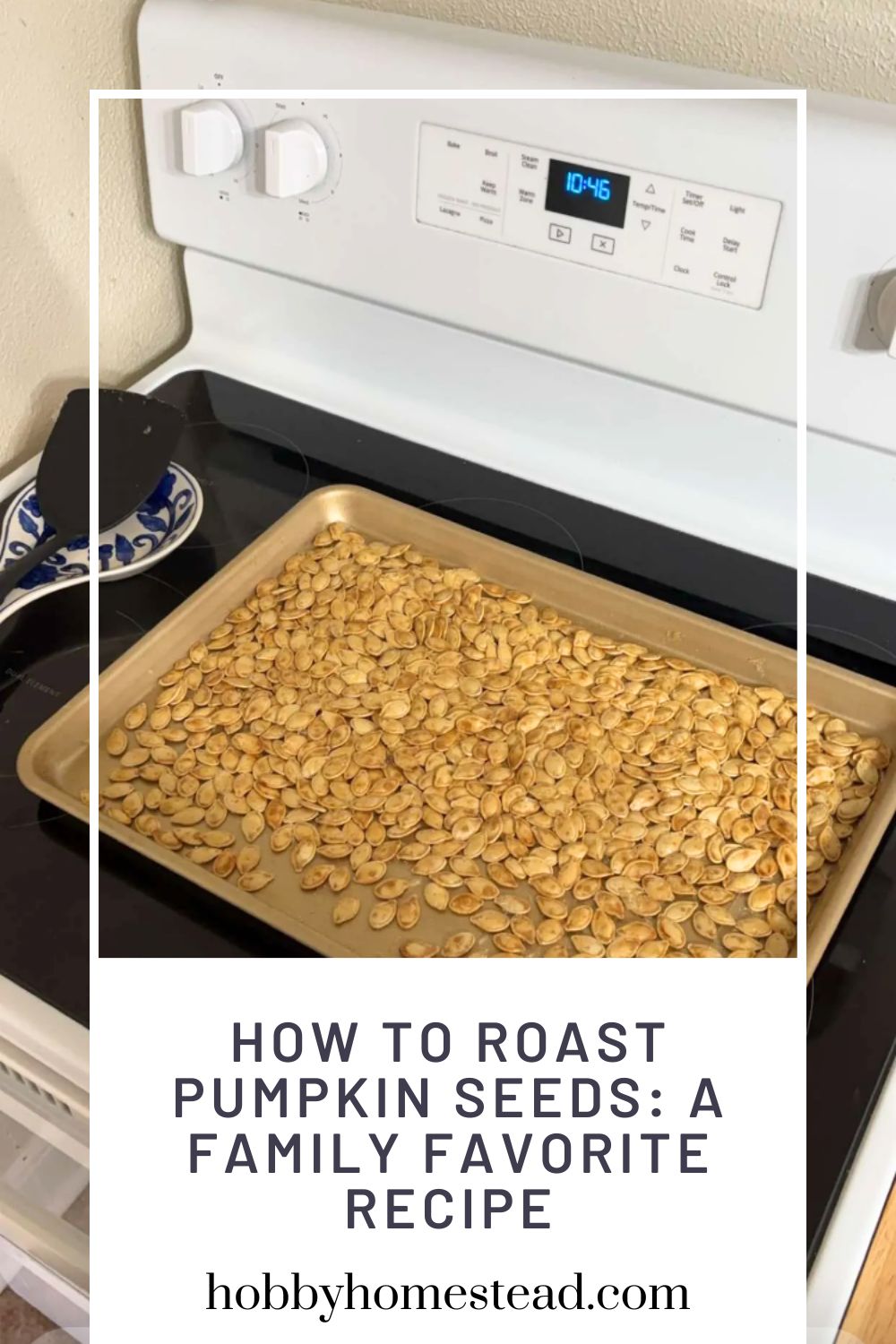 How to Roast Pumpkin Seeds: A Family Favorite Recipe - Hobby Homestead