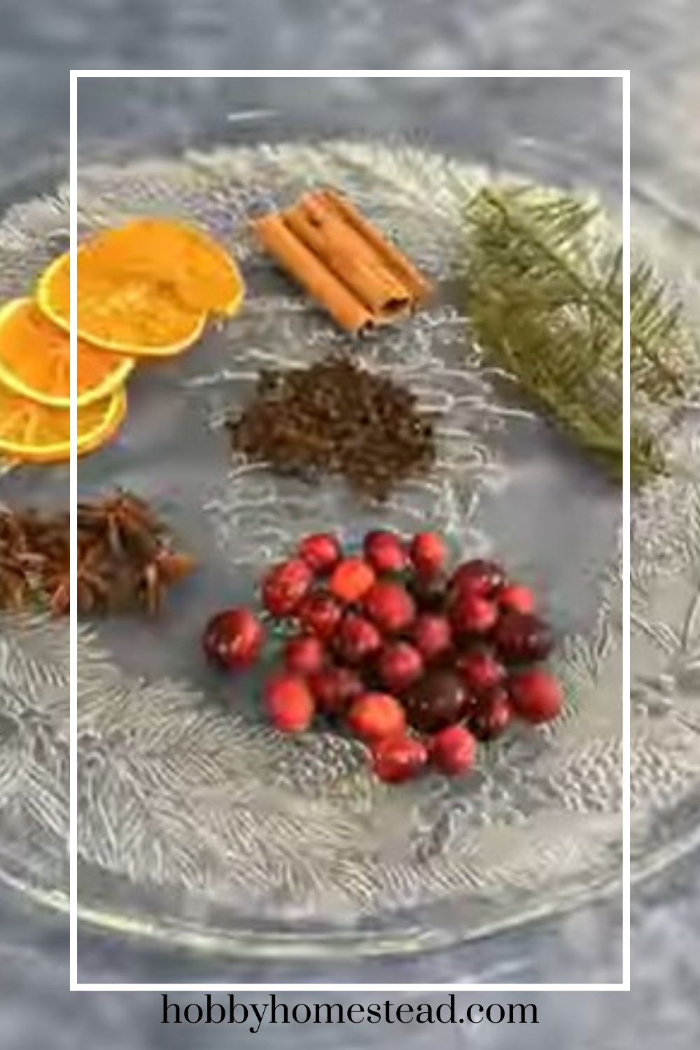 How to Make Homemade Simmer Pots (Stovetop Potpourri) - Hobby Homestead