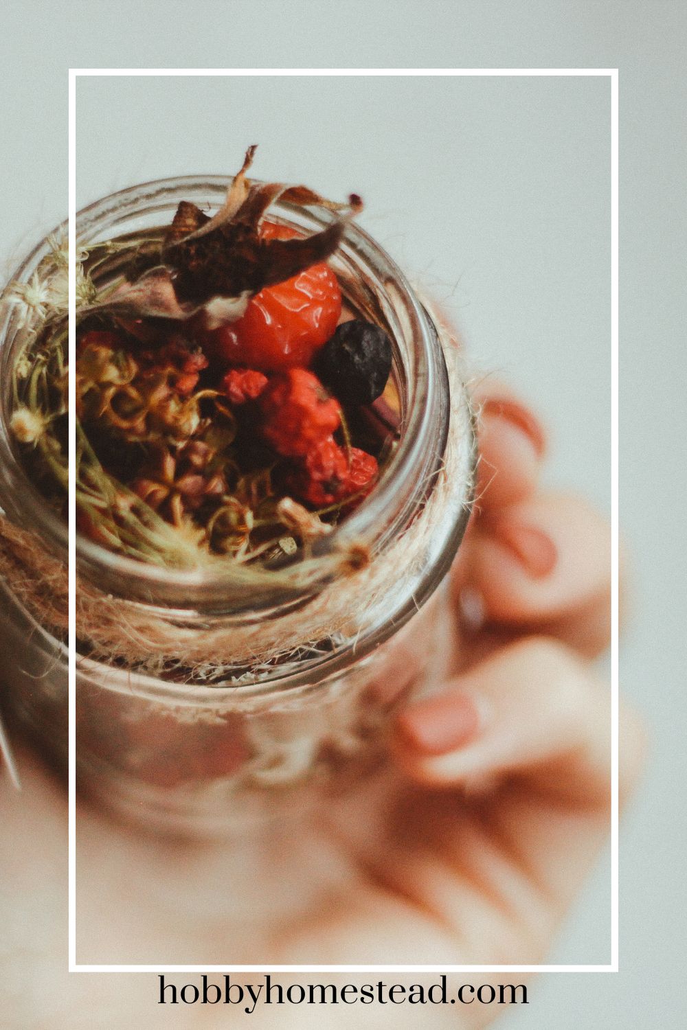 How to Make Homemade Simmer Pots (Stovetop Potpourri) - Hobby Homestead