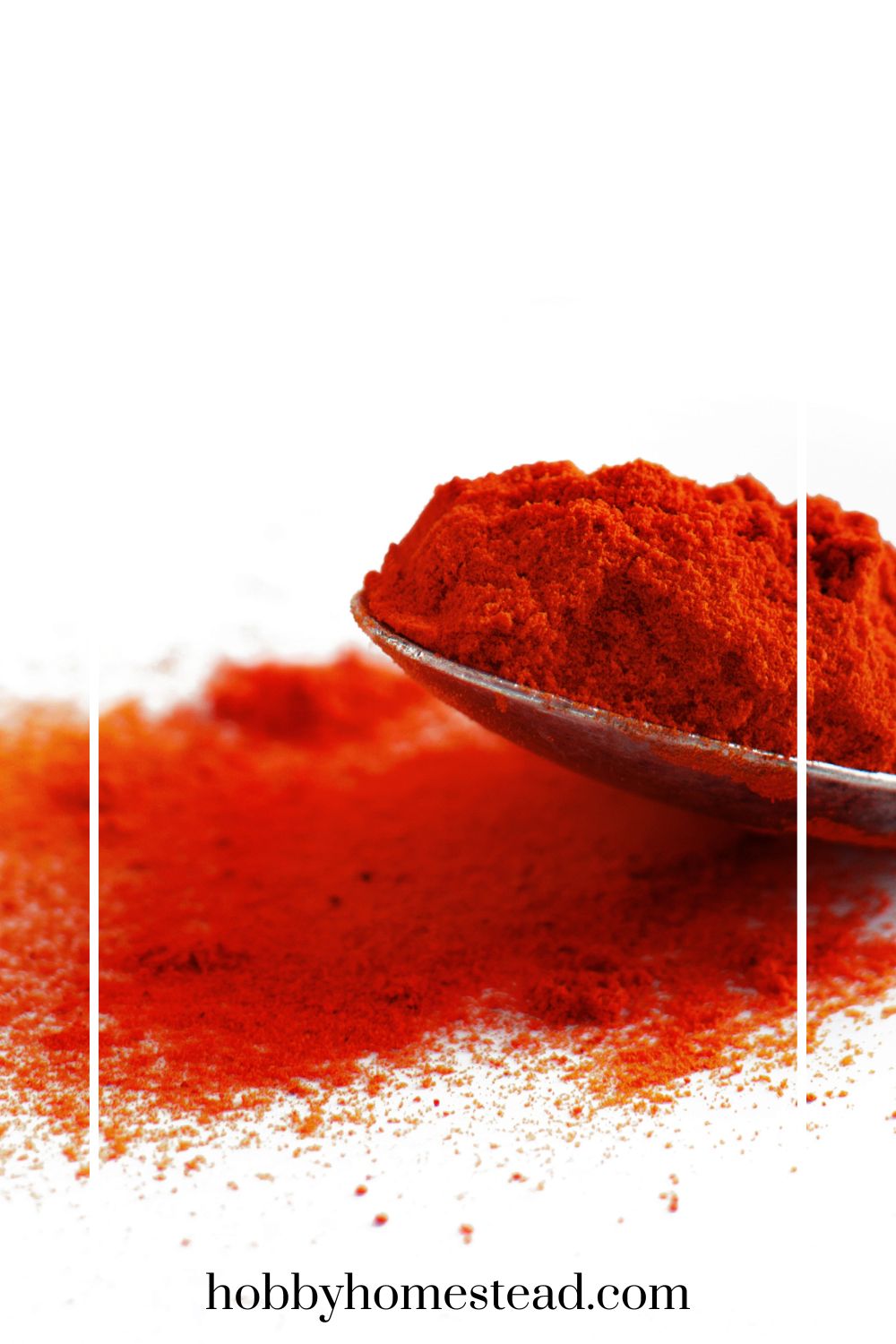 Homemade Paprika with Fresh Flavors from Garden to Jar - Hobby Homestead