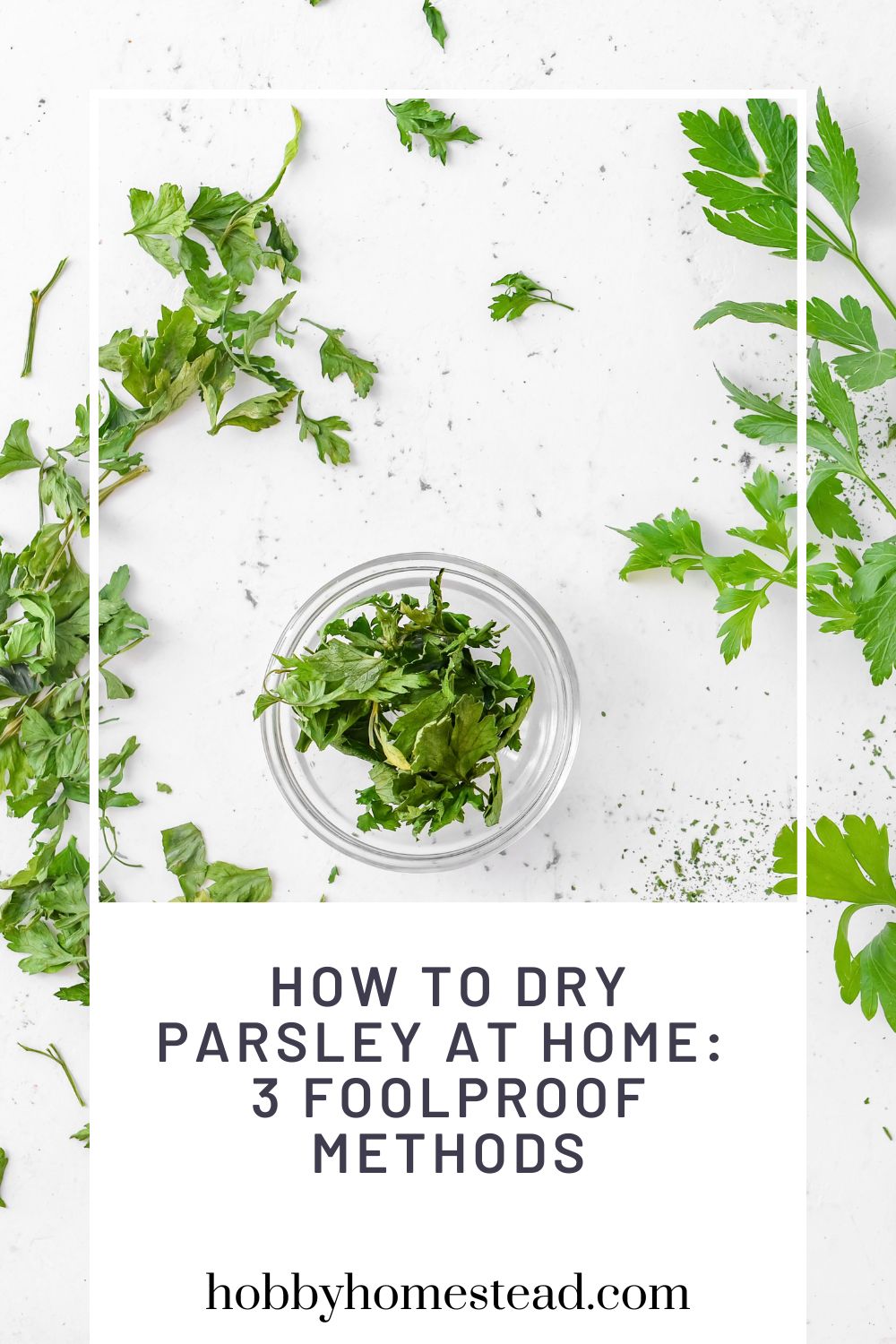 How to Dry Parsley at Home: 3 Foolproof Methods - Hobby Homestead