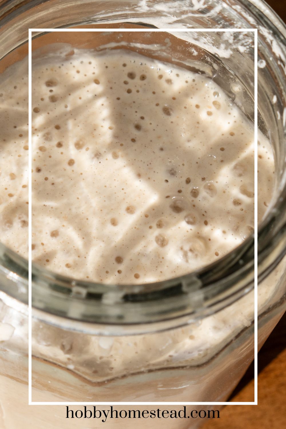 Understanding Sourdough Starter Smell and Troubleshooting - Hobby Homestead