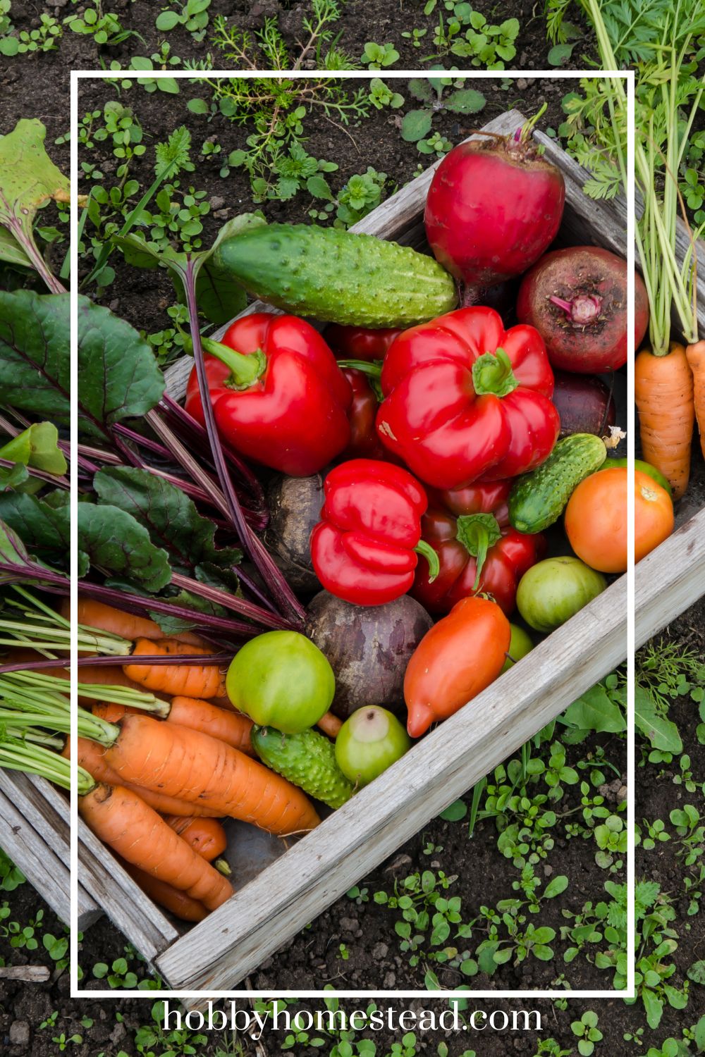 Printable Seasonal Produce Guide for Fruits and Vegetables - Hobby ...