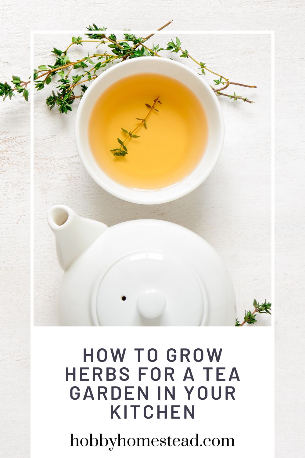 How to Grow Herbs for a Tea Garden in Your Kitchen - Hobby Homestead