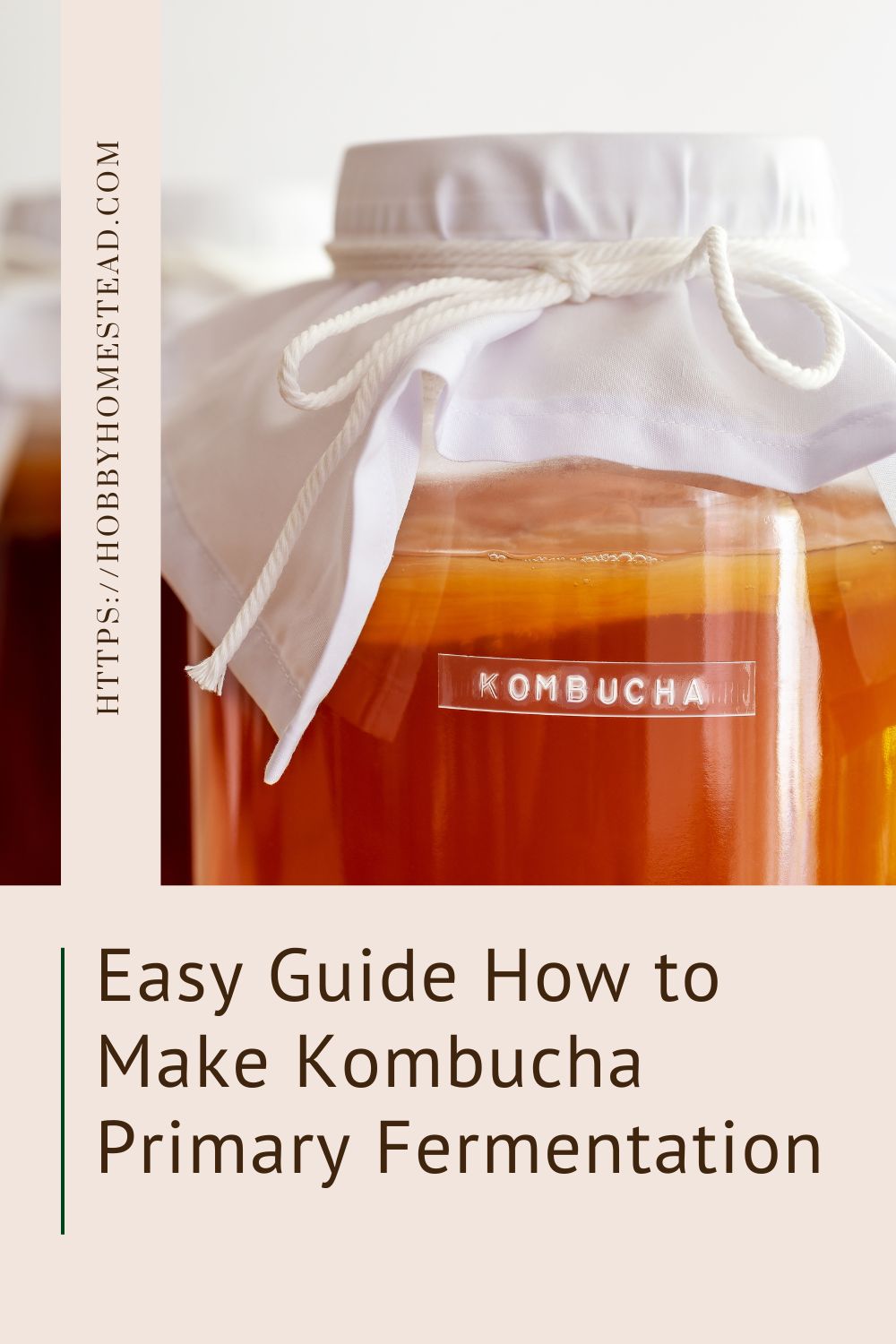 Easy Guide How to Make Kombucha Primary Fermentation - Hobby Homestead