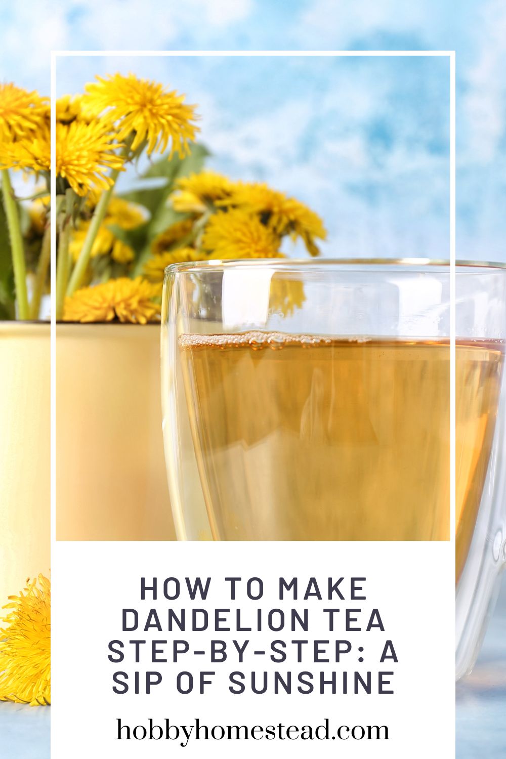 How to Make Dandelion Tea Step-by-Step: A Sip of Sunshine - Hobby Homestead