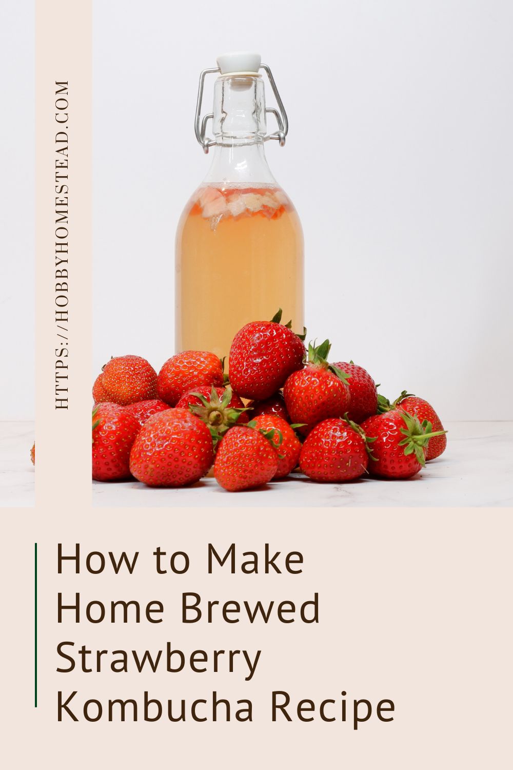 How to Make Home Brewed Strawberry Kombucha Recipe - Hobby Homestead