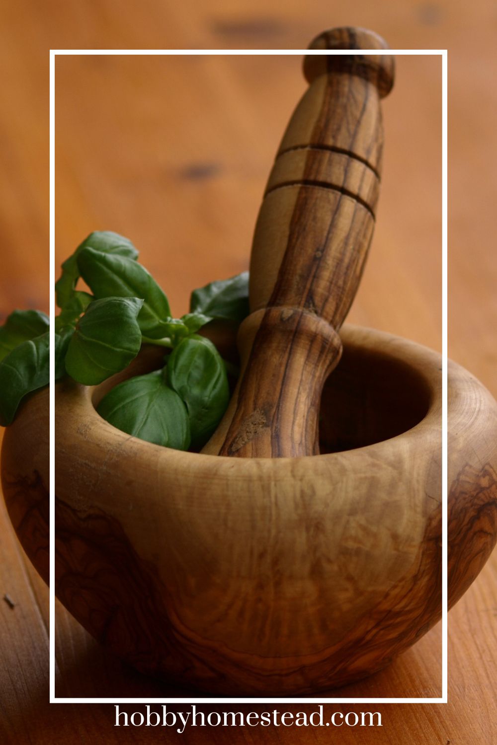 Home Remedies for Mosquito Bites to Stop the Itching - Hobby Homestead