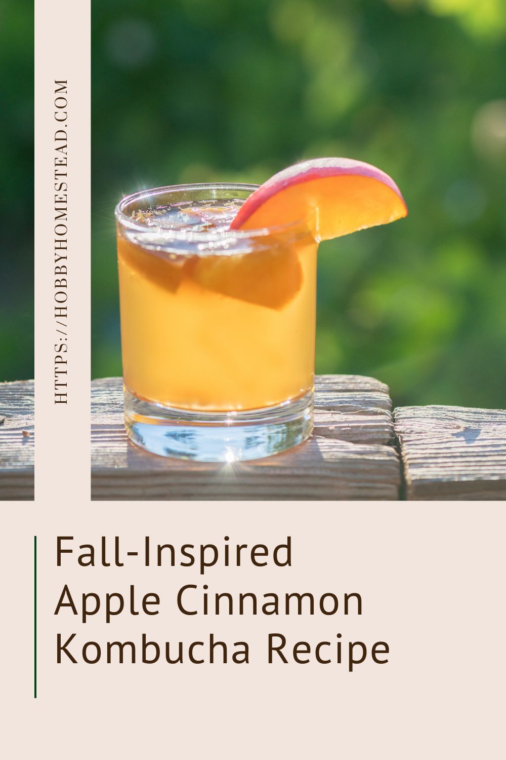 Fall-Inspired Apple Cinnamon Kombucha Recipe - Hobby Homestead