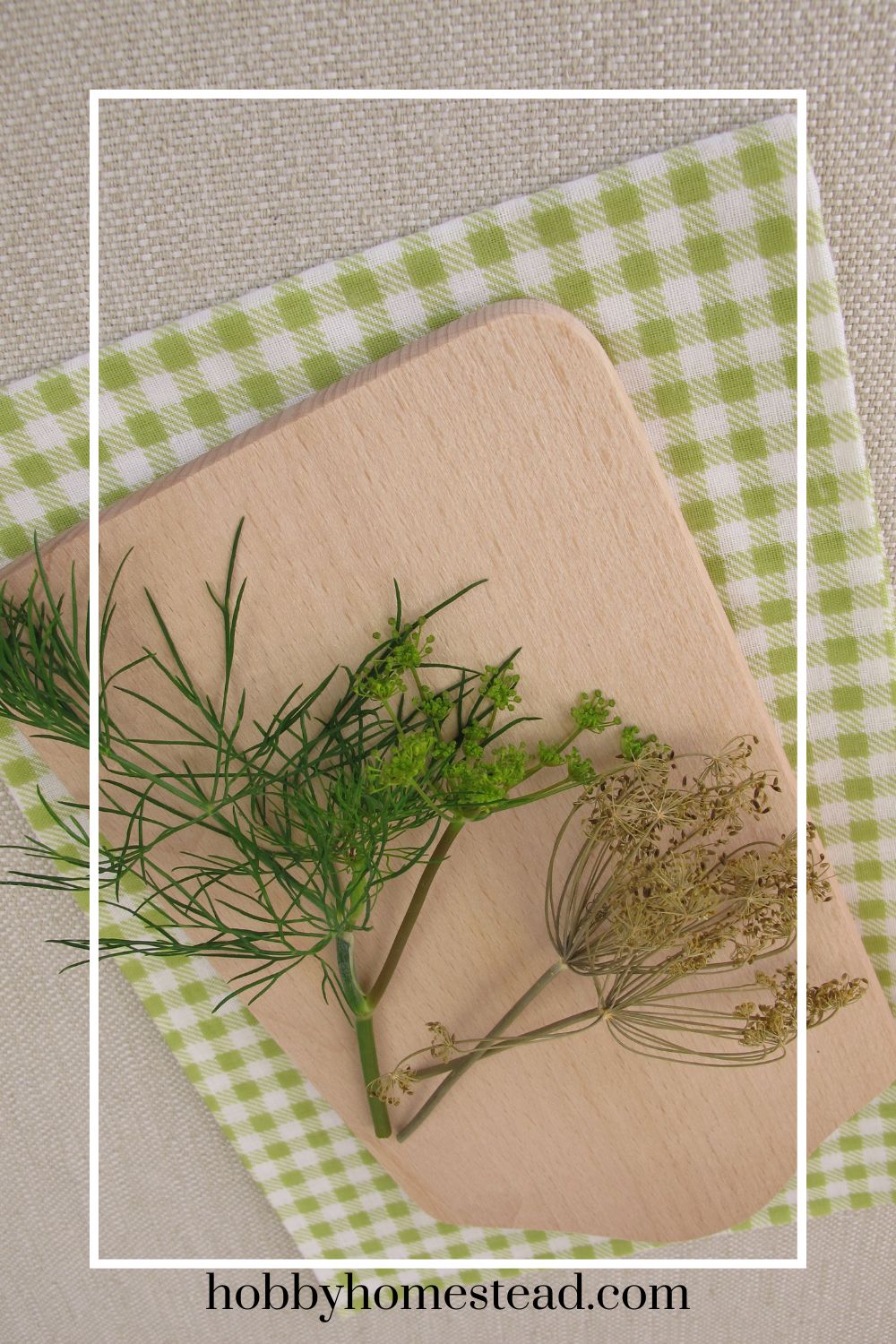 Smart Ways to Store Dill for Maximum Freshness - Hobby Homestead