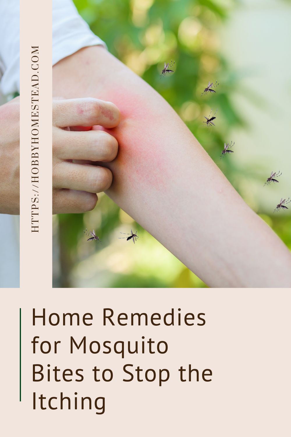 Home Remedies For Mosquito Bites To Stop The Itching Hobby Homestead