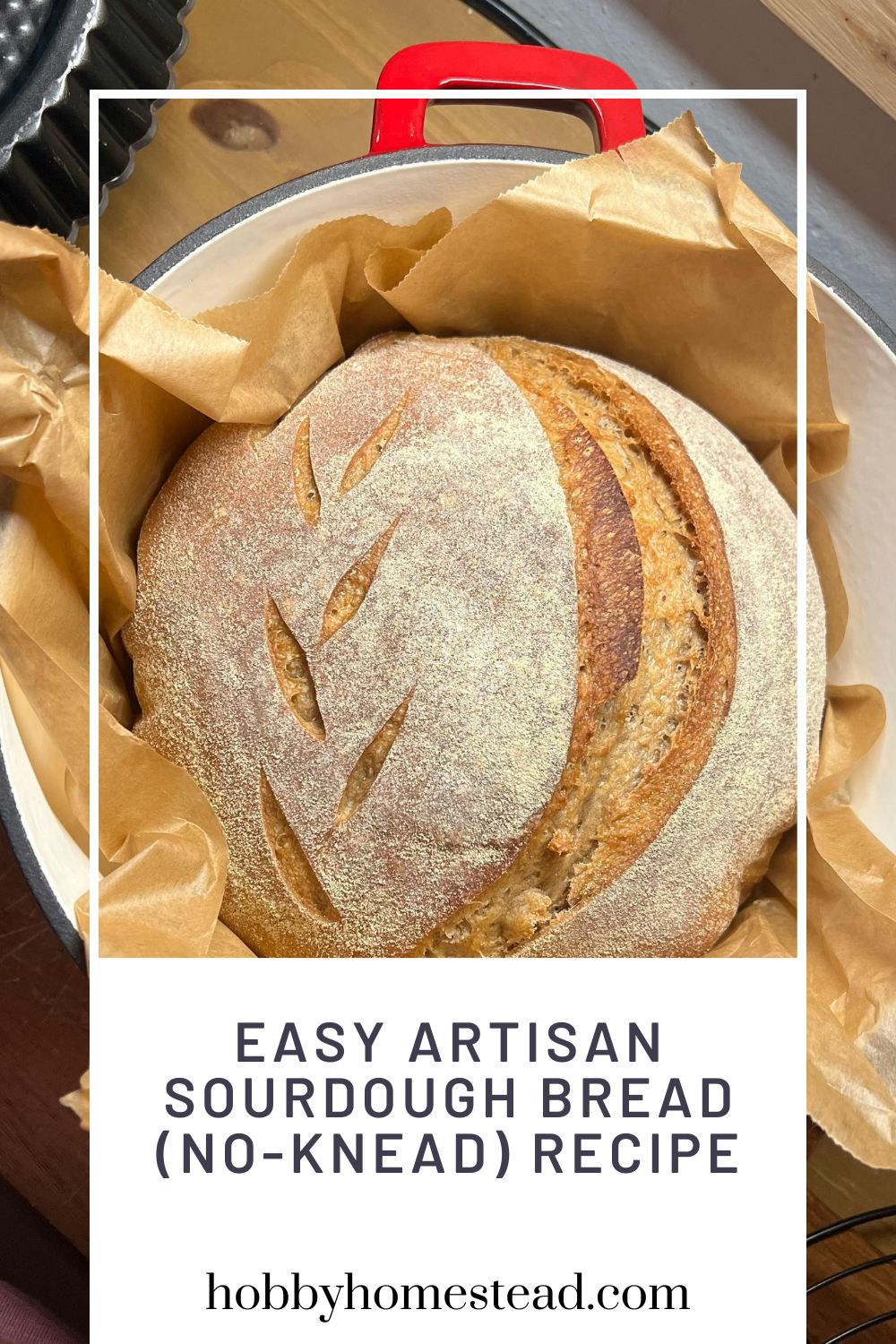Easy Artisan Sourdough Bread (No-Knead) Recipe - Hobby Homestead