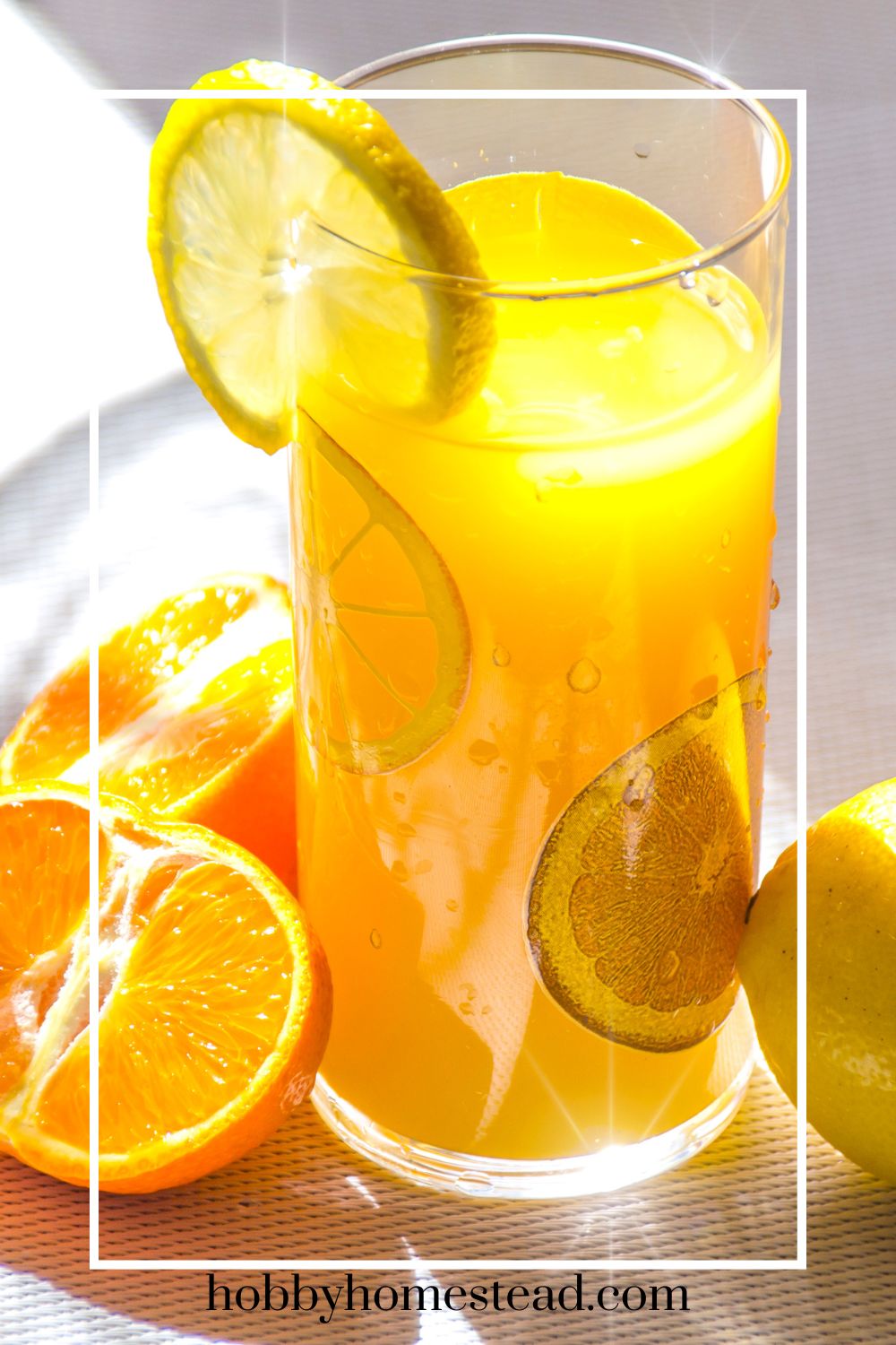 Homemade Orange Lemonade Fresh Squeezed Recipe - Hobby Homestead