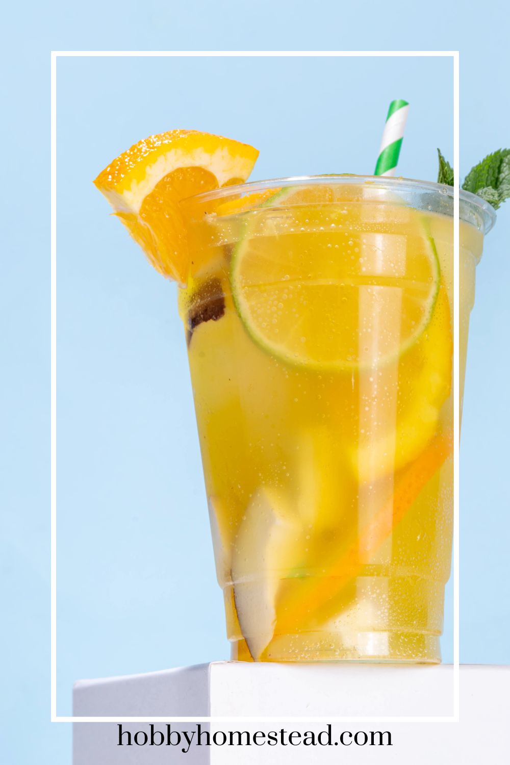 Homemade Orange Lemonade Fresh Squeezed Recipe - Hobby Homestead