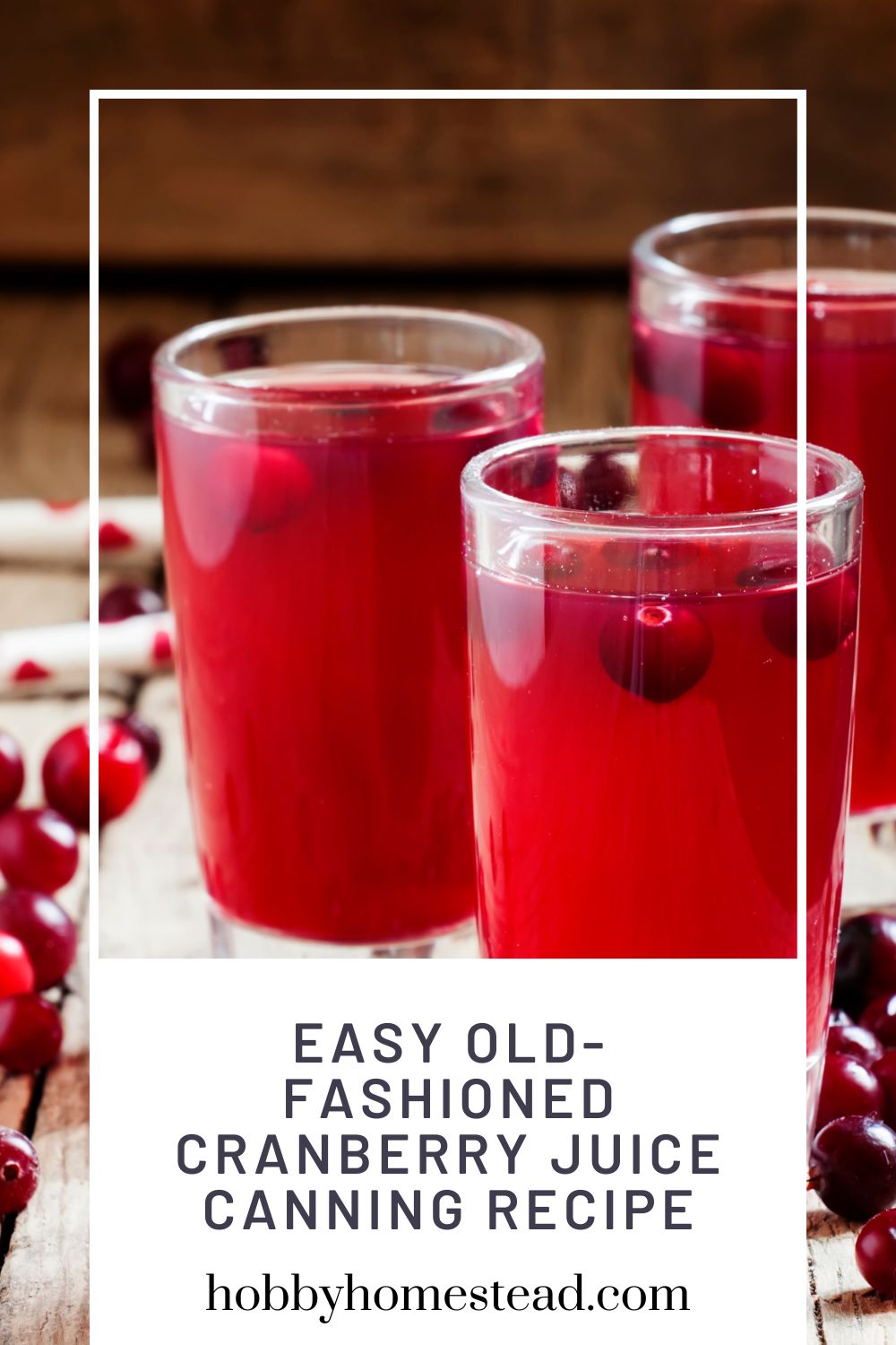 Easy Old-Fashioned Cranberry Juice Canning Recipe - Hobby Homestead