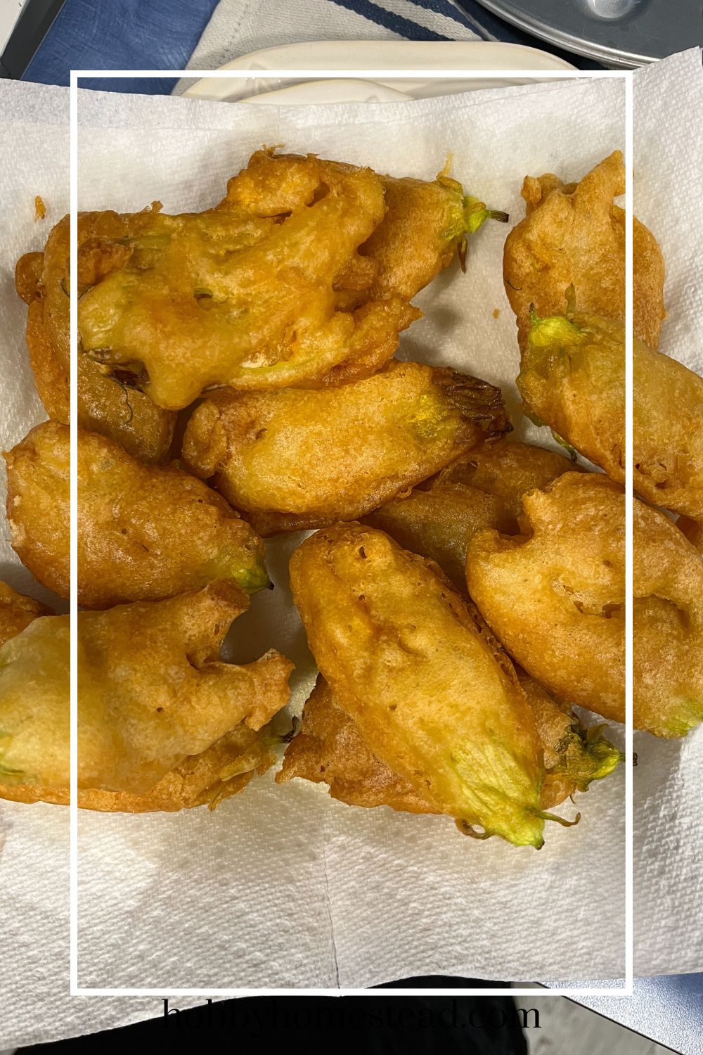 Delicious Golden Fried Zucchini Squash Blossoms Recipe - Hobby Homestead