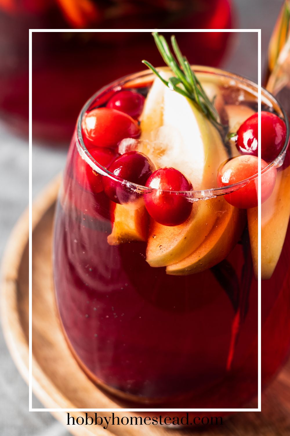 Winter Cranberry Apple Ginger Refresher: A Cozy Homemade Drink - Hobby ...