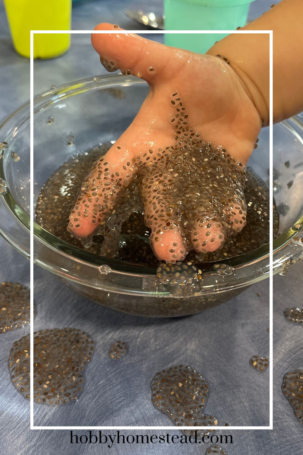 How to Make Chia Goop for Safe and Fun Sensory Play - Hobby Homestead
