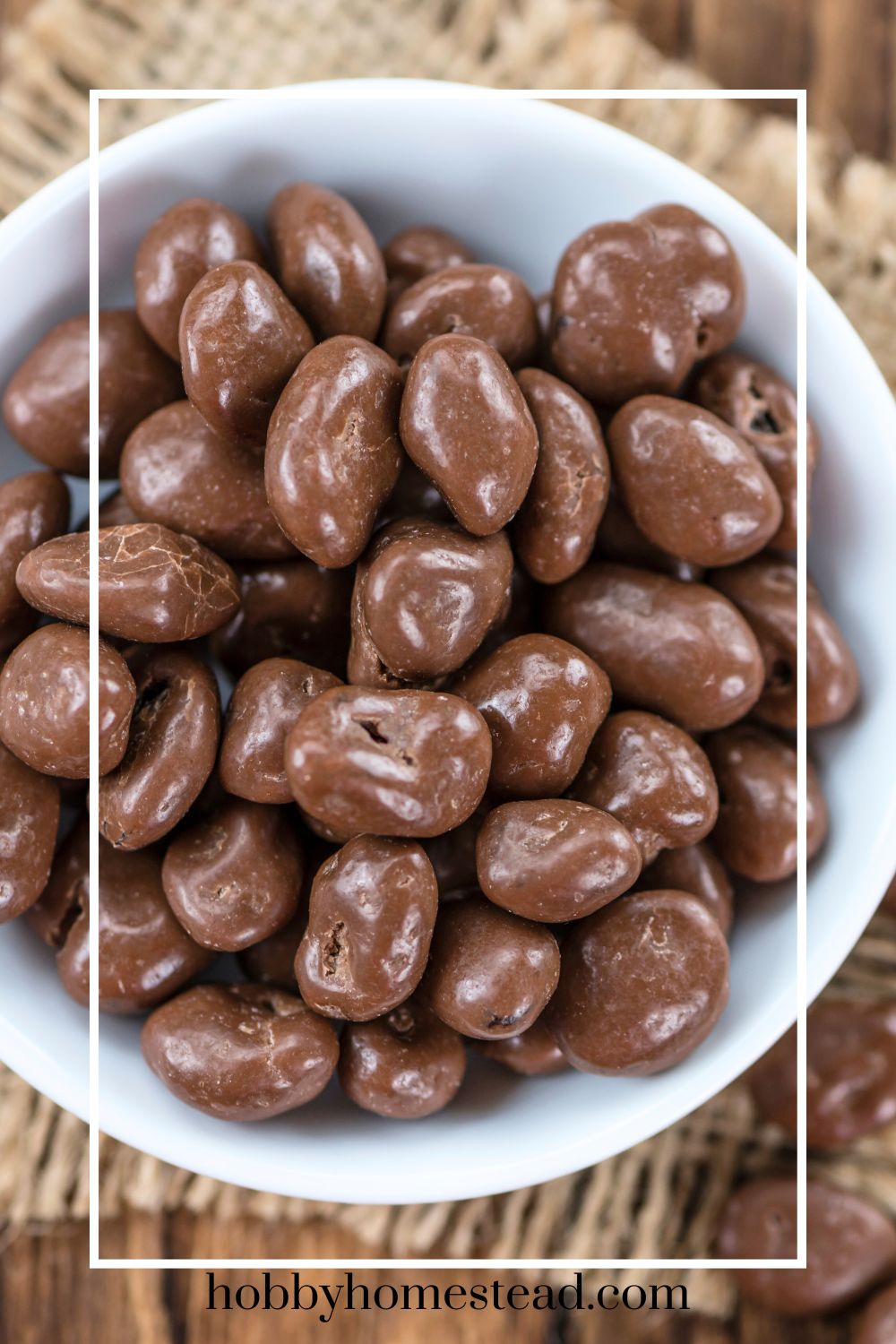 Easy Homemade Chocolate Covered Raisins Recipe - Hobby Homestead