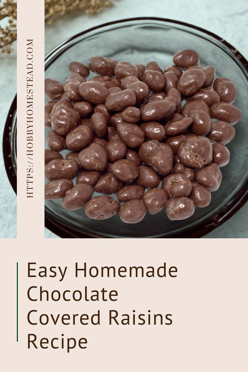 Easy Homemade Chocolate Covered Raisins Recipe - Hobby Homestead
