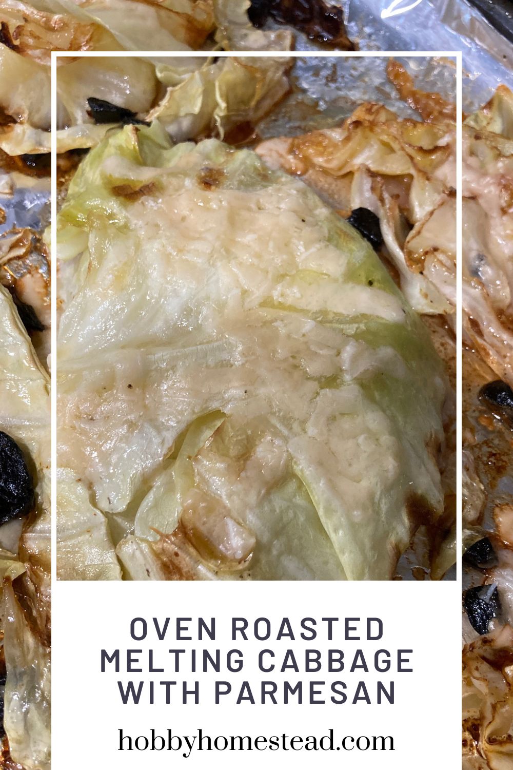Oven Roasted Melting Cabbage with Parmesan - Hobby Homestead