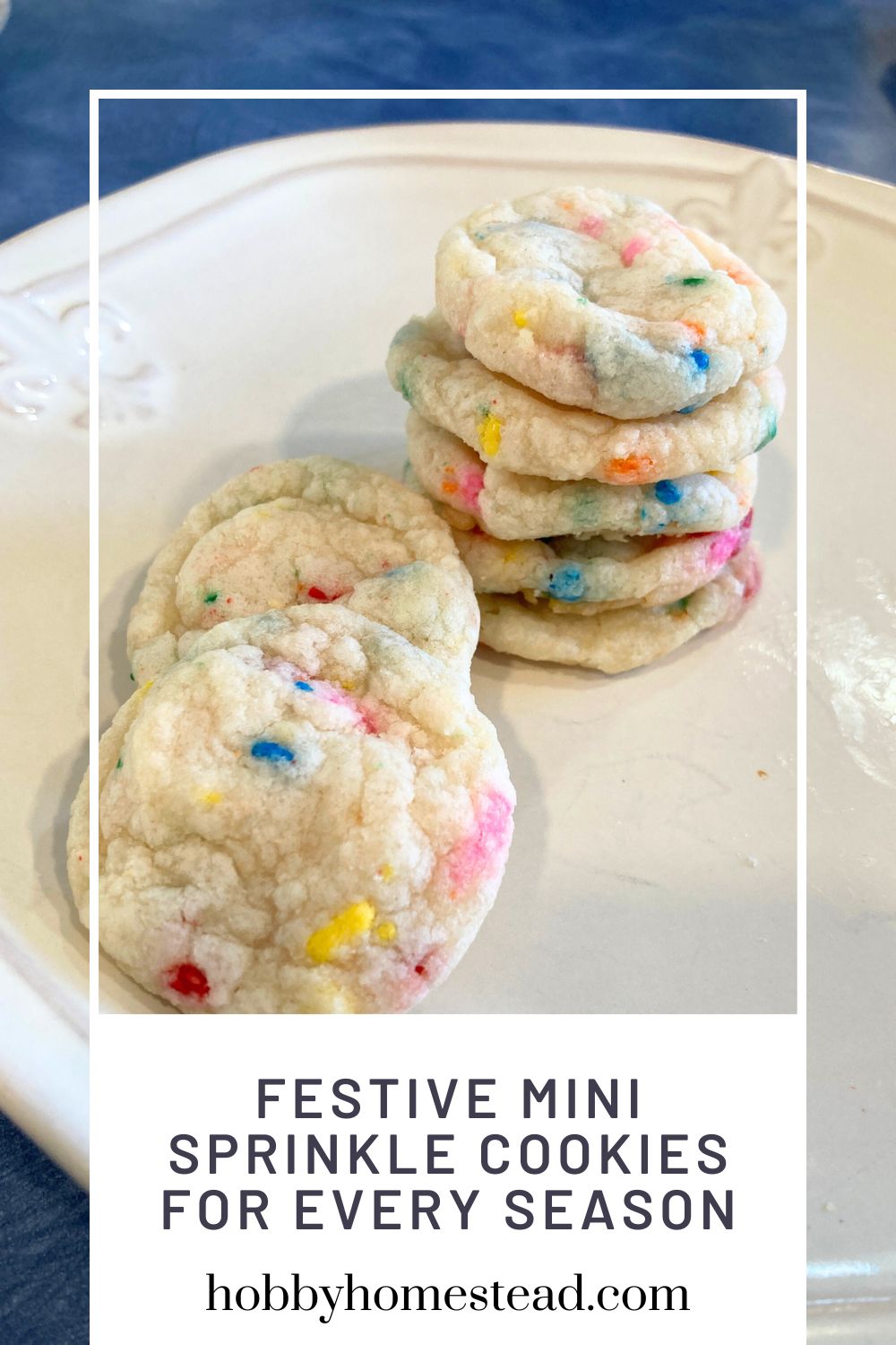 Festive Mini Sprinkle Cookies for Every Season - Hobby Homestead