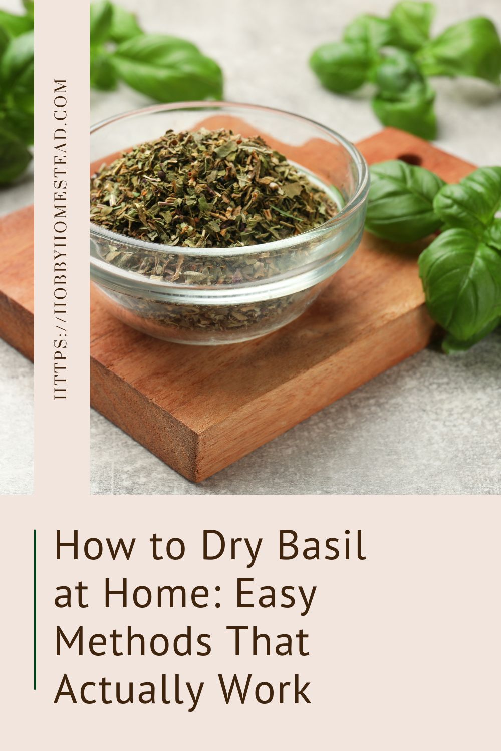How to Dry Basil at Home: Easy Methods That Actually Work - Hobby Homestead